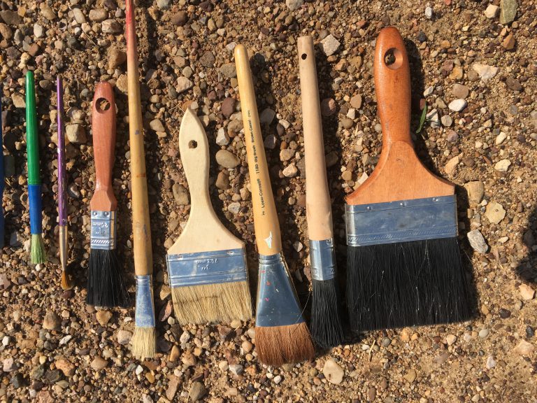 Fossil Excavation - Finding a Dinosaur